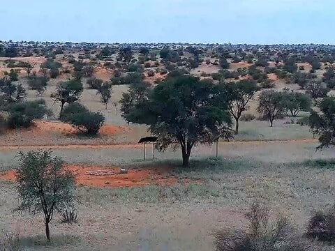 Kalahari Desert Live Webcam, Namibia - Live World Webcams