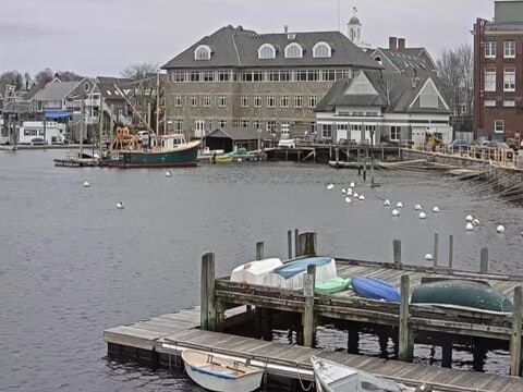 Eel Pond Webcam, Falmouth, Massachusetts