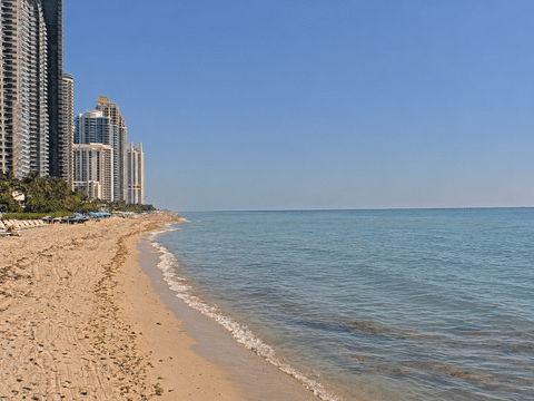 Miami Beach Webcam – See Florida’s Famous Beachfront Now